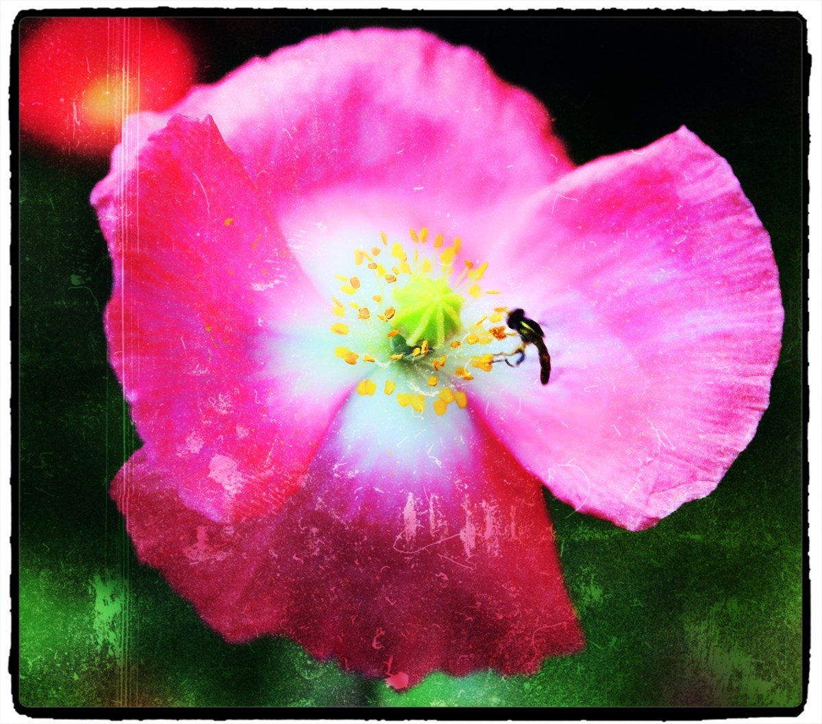 500 Works of Art on the Road to Your Creativity #496 – Attraction – The ...