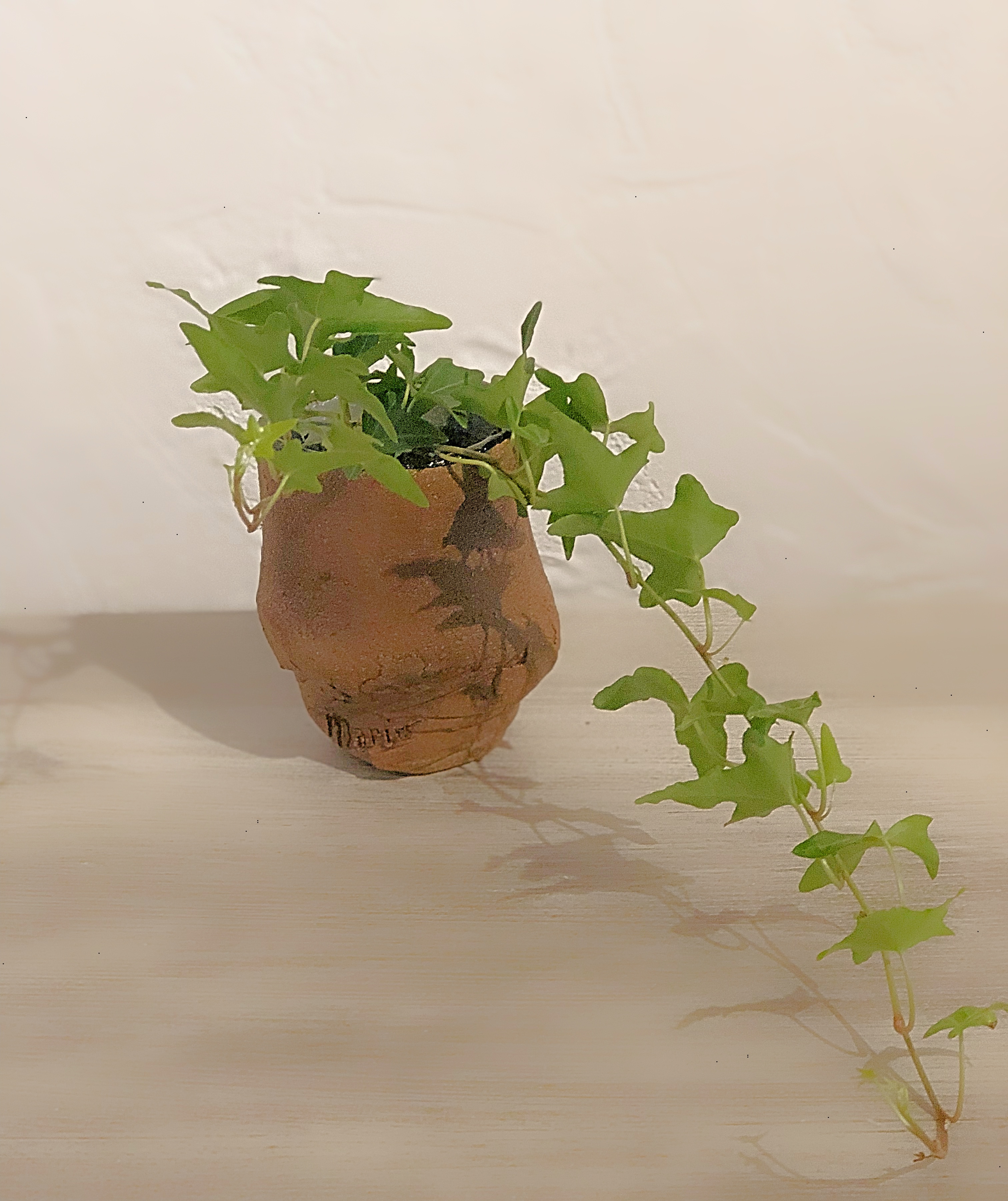 Transformations with life #23: “Creeping Forward” – The New Renaissance ...