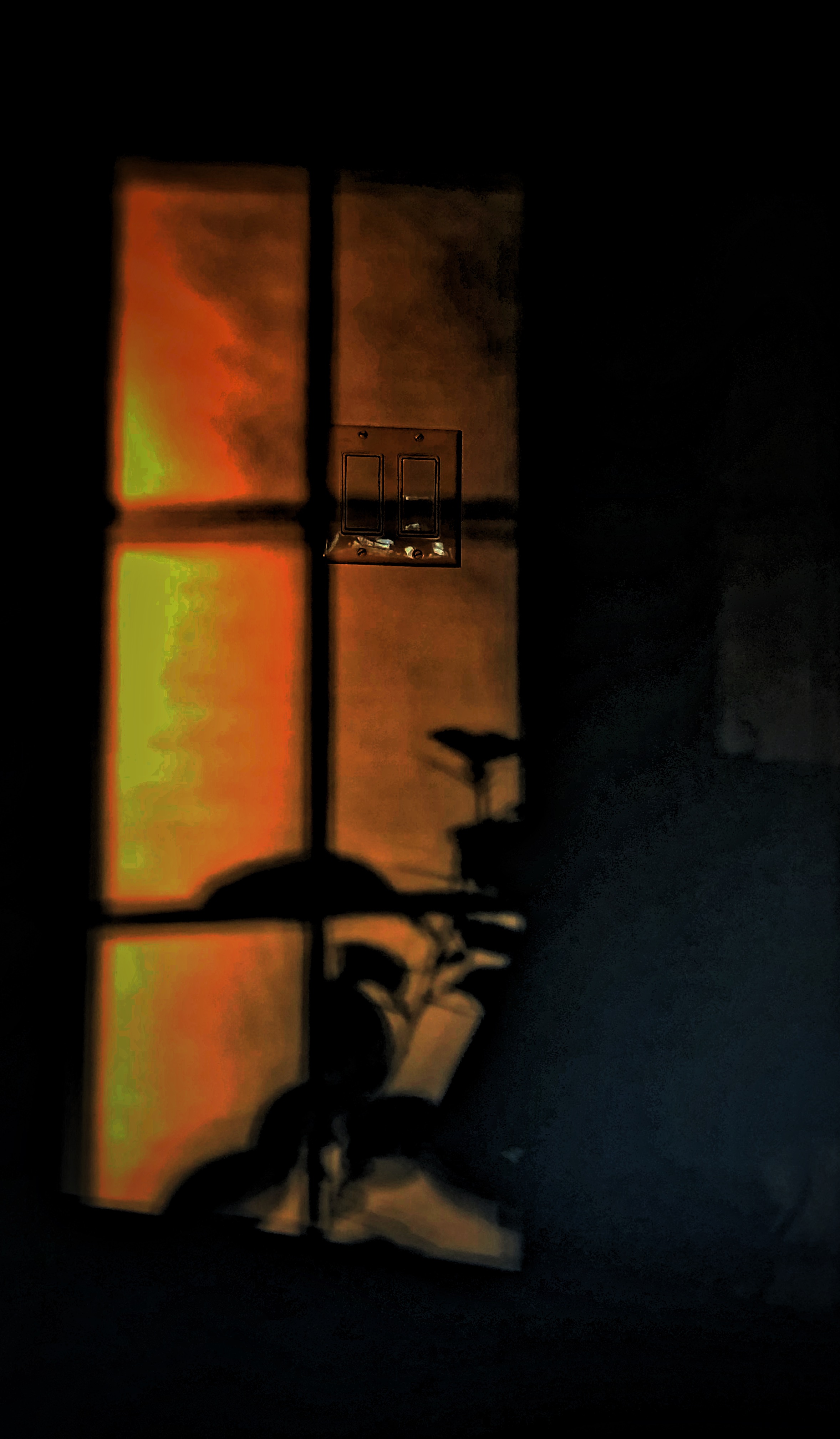 Shadows at Sunset – The New Renaissance Mindset