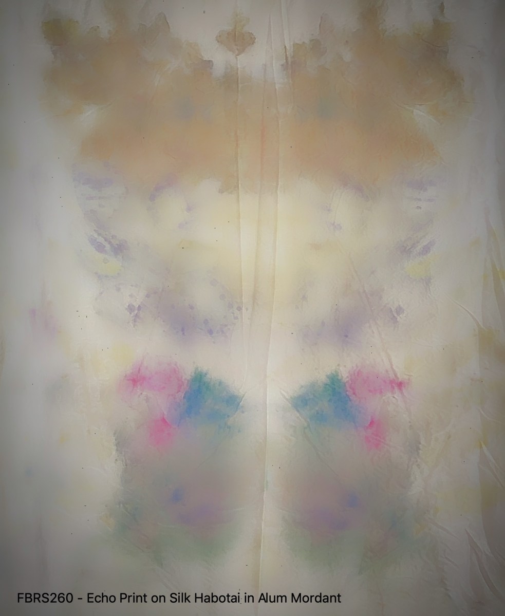 Echo Printing – Natural Dyeing Explorations – I see the possibilities ...